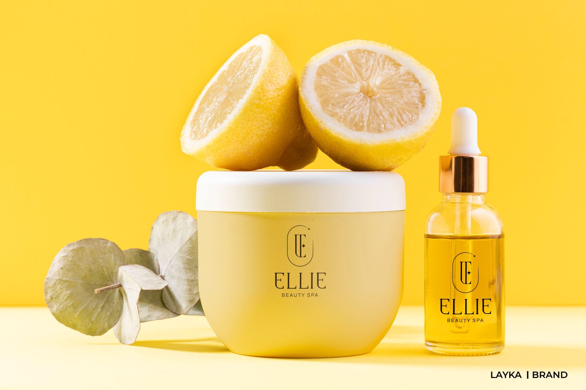 Layka - Cùng doanh nghiệp vươn xa