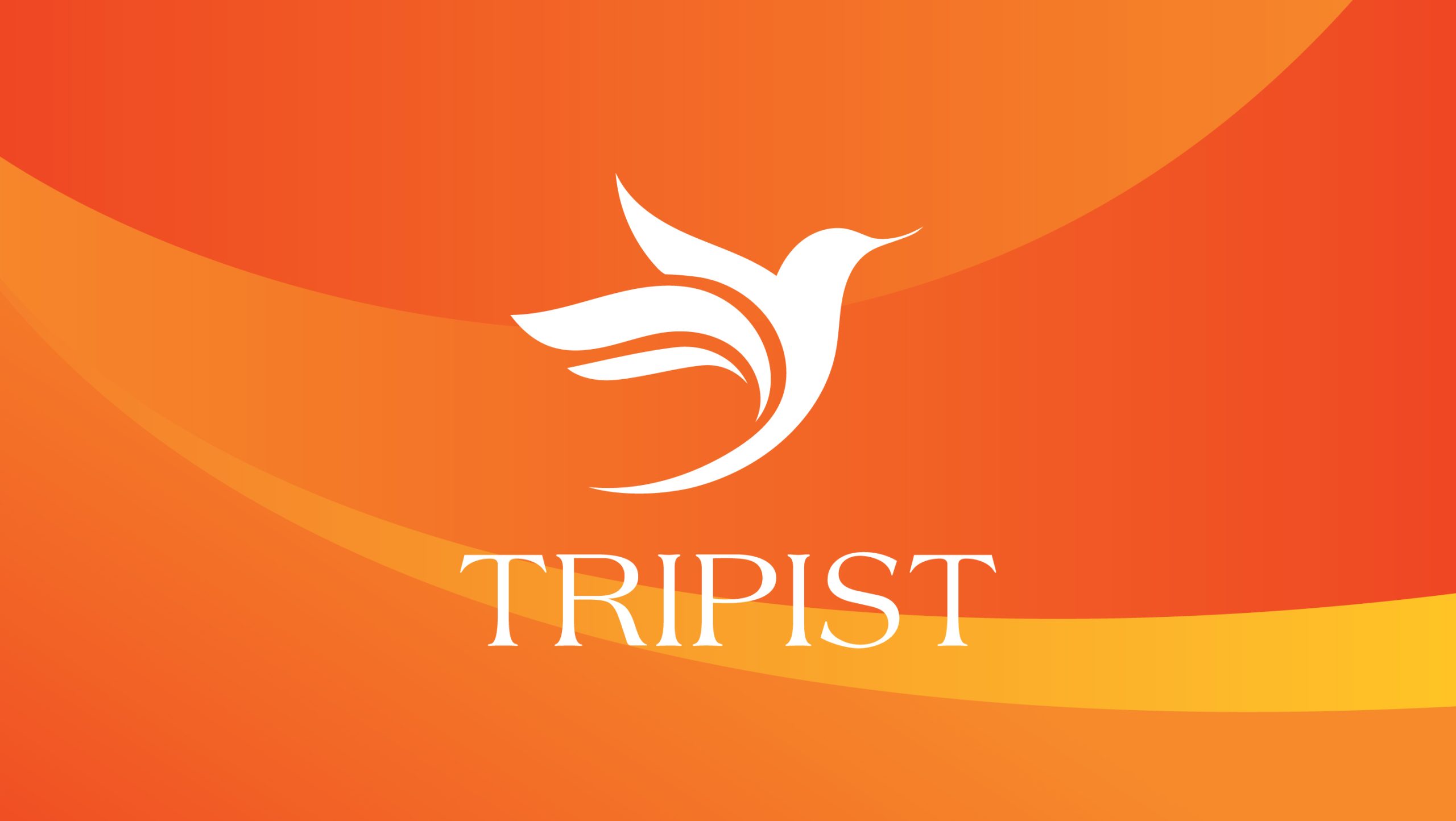 DỰ ÁN LOGO CÔNG TY DU LỊCH TRIPIS